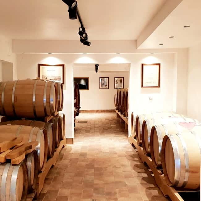 Krk: Family-Owned Winery Tour and Tasting