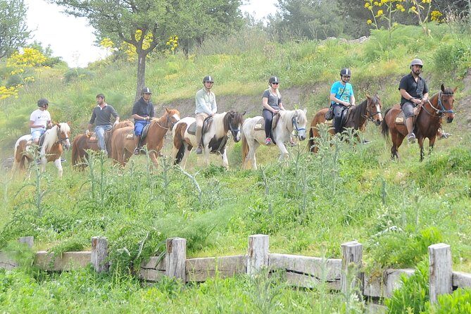 Kusadasi Horse Riding Beach and Forest options with Transfer