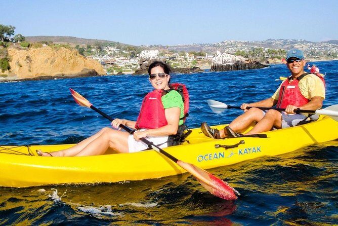 Laguna Beach Kayak Tour with Sea Lion Viewing - The Authenticity of the Guided Tour