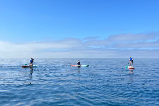Laguna Beach Stand Up Paddle Activity - The Authentic Benefits of a SUP Tour in Laguna Beach