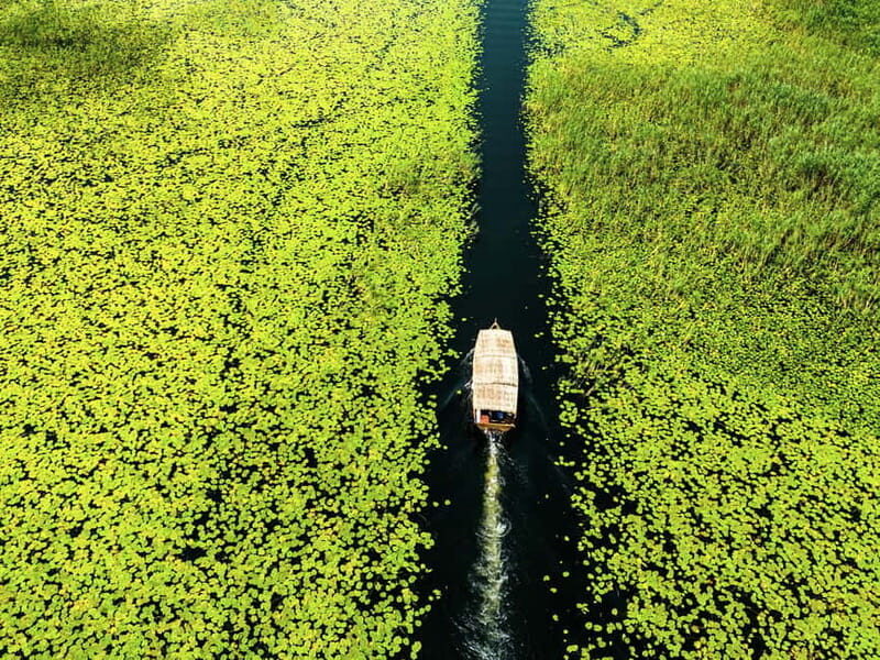 Lake Skadar: Guided Sightseeing Boat Tour with Drinks