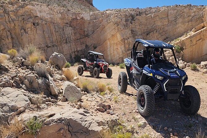 Las Vegas Mini Desert RZR Adventure - What the Reviews Say