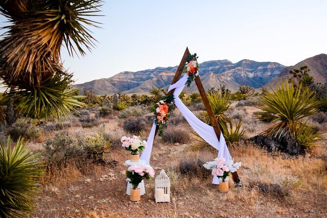 Las Vegas Scenic Wedding Ceremonies - What We Love About This Wedding Experience