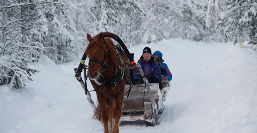 Levi, Polar Lights Tours: One Horse Open Sleigh Ride - The Itinerary in Detail