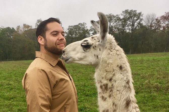 Llama/Alpaca Hike and Farm Tour - The Value of the Tour