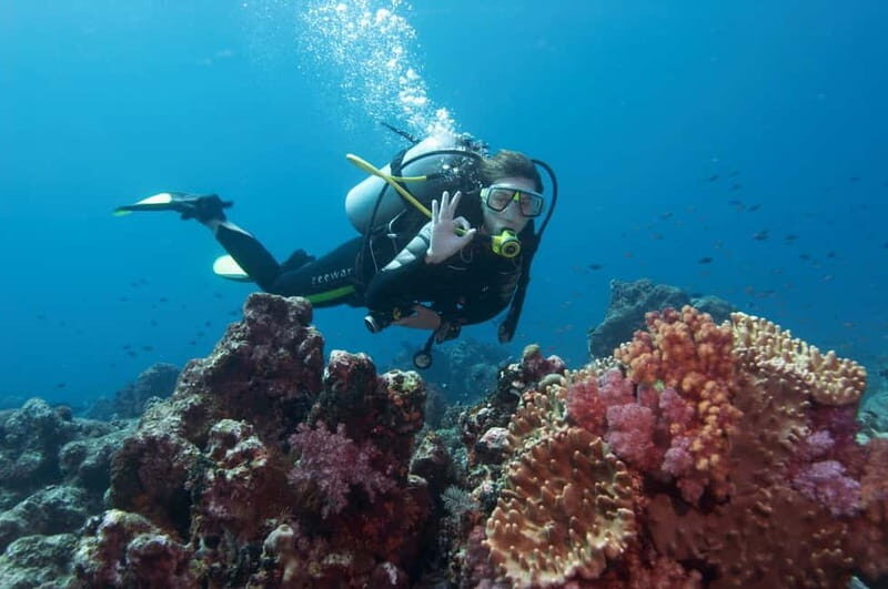 Marmaris: Scuba Diving, Incl. 2 Dive, Lunch w/Hotel Transfer