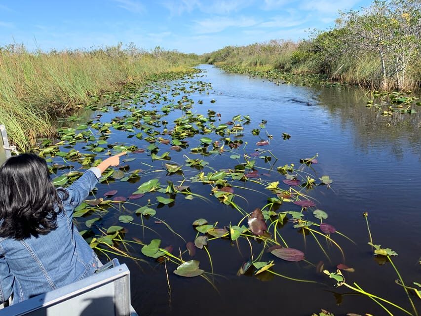 Miami: Everglades Airboat, Photo & Gator Experience - The Itinerary in Detail