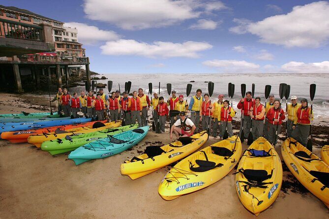 Monterey Bay Full-Day Kayak Rental: Otters, Seals and Sea Lions - The Cost and Its Value