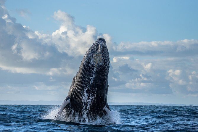 Monterey Bay Whale Watching - The Itinerary in Detail