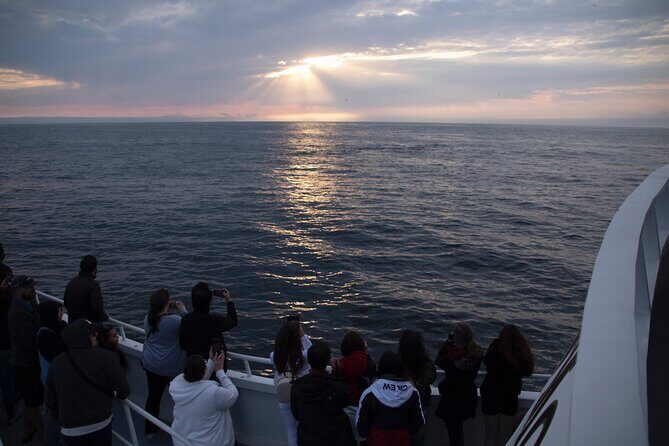 Monterey Whale Watching Tour - Practical Tips for Your Trip