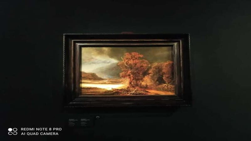 Museo Czartorisky : Visita in Lingua Italiana salta fila - What to Expect at the Museum