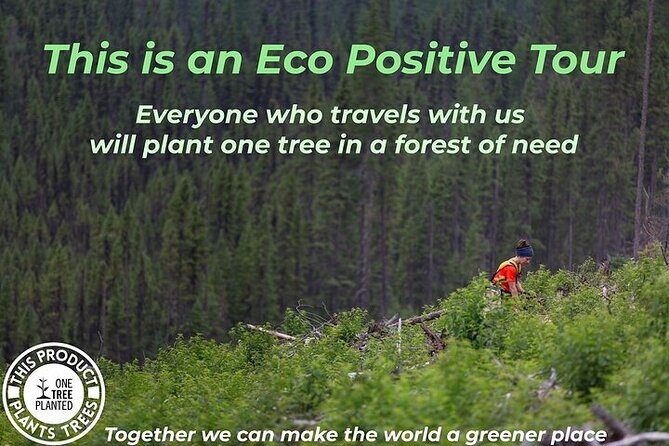 Niagara Falls, Toronto and 1000 Islands, 3 Day Tour from NYC - Who This Tour Is Best For