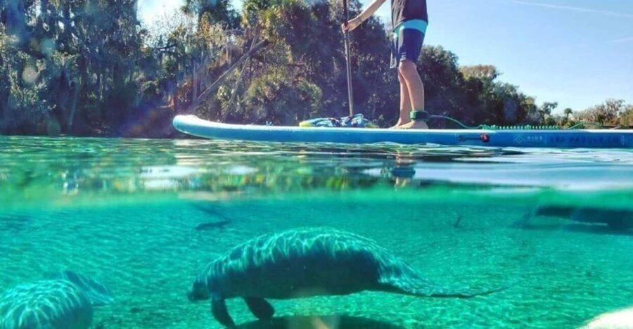 North Miami: Nature & Island Exploration on SUP/Kayak - Who Will Love This Tour?