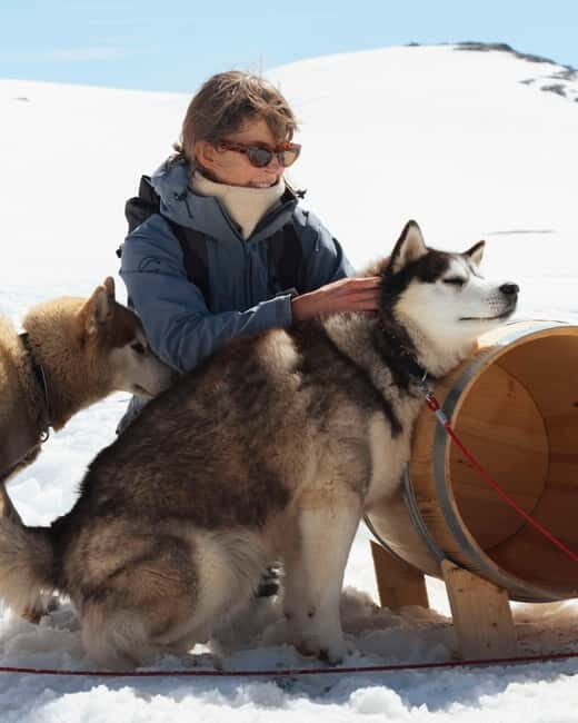 Norway: Husky Camp Visit on top of Folgefonna Glacier