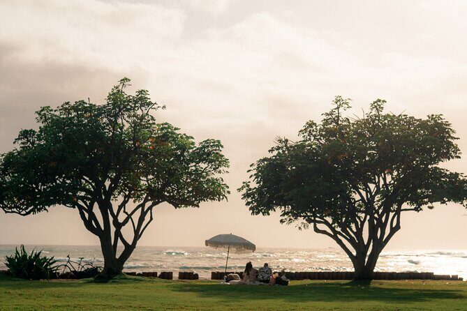 Oahu Beach Picnic: Private, Luxury Experience - An In-Depth Look at the Luxury Beach Picnic Experience