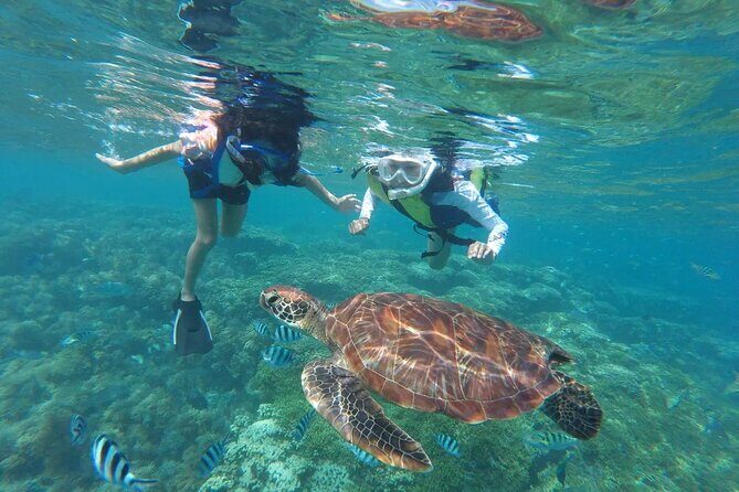 Oahu Coastline Cruise: Turtle Snorkeling and Jumping Platform - Who Is This Tour Best For?