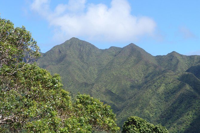 Oahu Volcanic Rainforest Hiking Adventure - The Sum Up: Is This Experience Worth It?