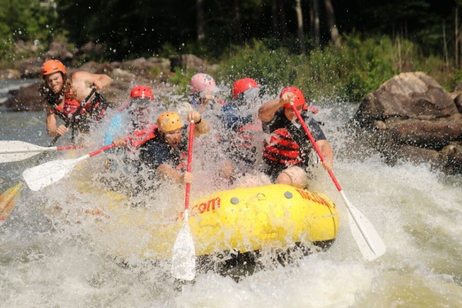 Ocoee River: Middle Ocoee Guided Rafting Tour - Who Will Love This Tour?