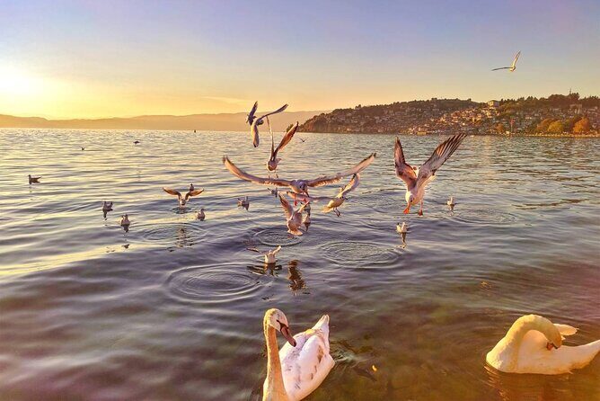 Ohrid City Walking Tour