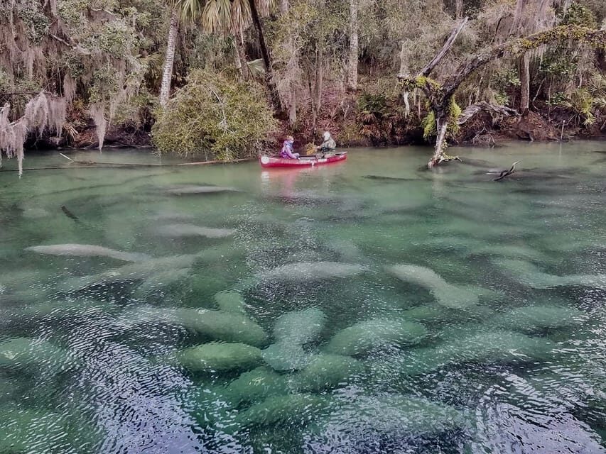 Orlando: Kayaking Tour with Manatee Encounter - Who Will Enjoy This Tour?