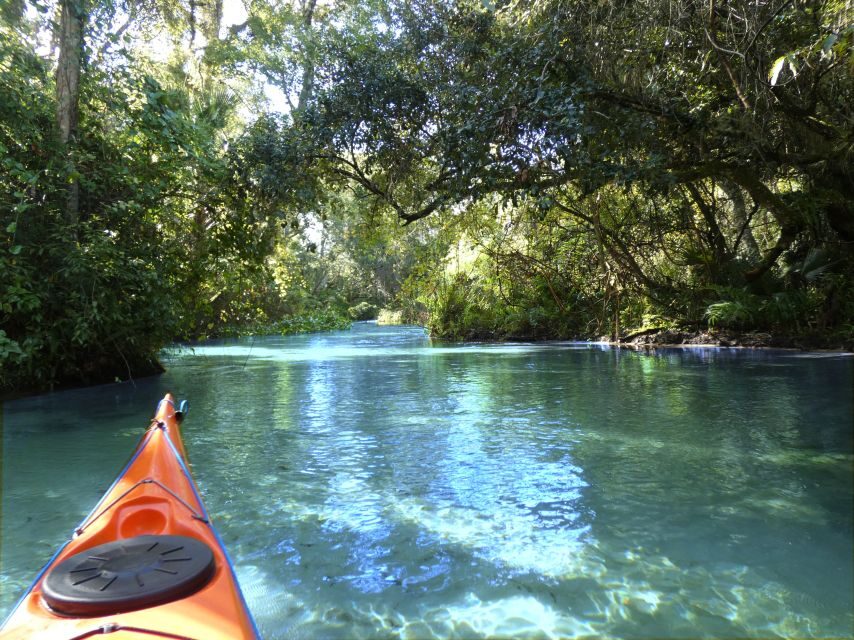 Orlando: Small Group Rock Springs Run Kayak Tour - Who Will Love This Tour?