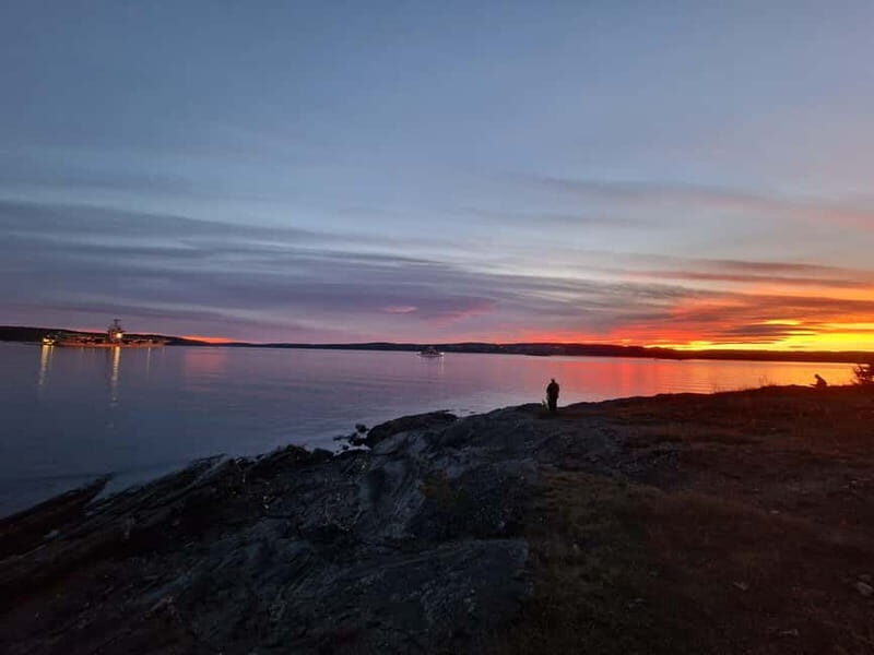 Oslo: Malmøya Island Guided Hike with Waffle and Drink