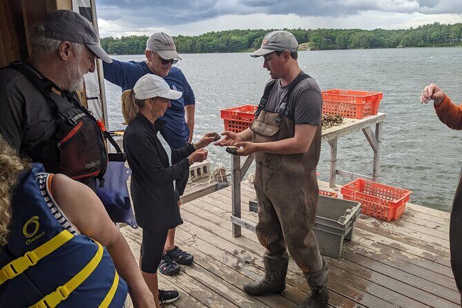 Oyster Tasting and Kayak Tour - Authentic Reviews & Highlights