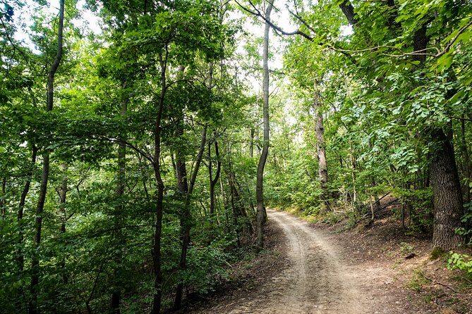 Panoramic hike around Budapest