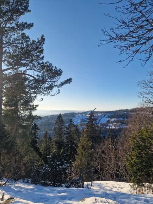 Panoramic Peaks  Oslos Best Fjord Views Hike
