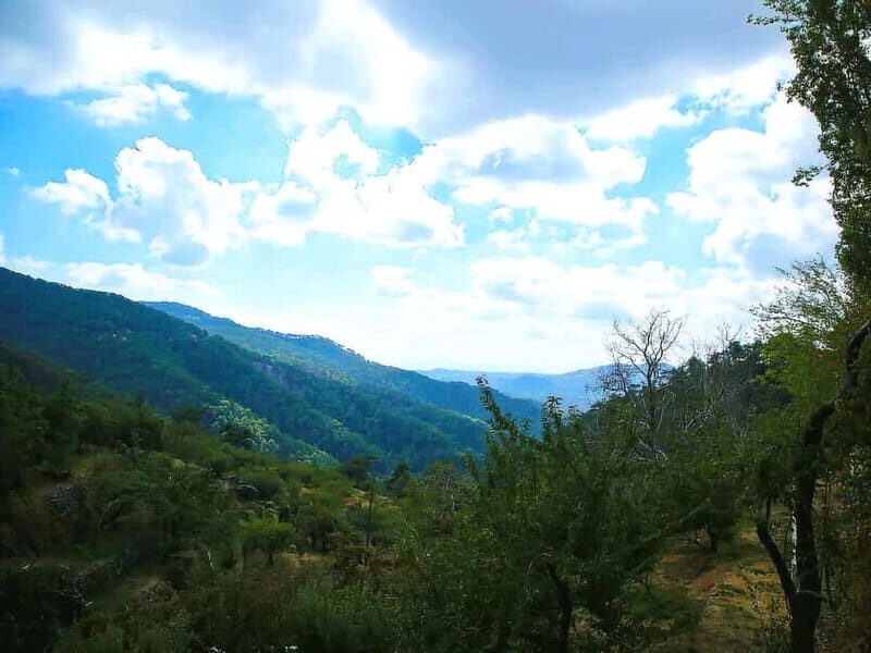 Paphos: Tour to Troodos, Kykkos Monastery, Omodos and Winery