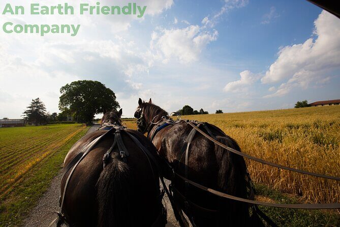 Philadelphia and Amish Country, 1-Day Tour from NYC - Who Should Consider This Tour?