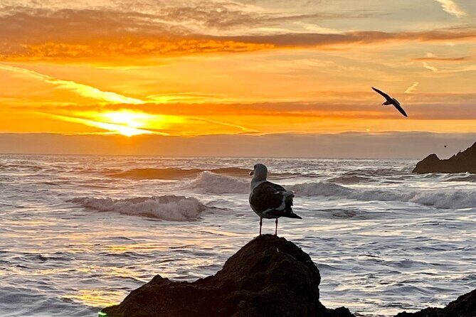 Picture your best SF tour ever! (Epic Bay Area photo adventures) - Why This Tour Works