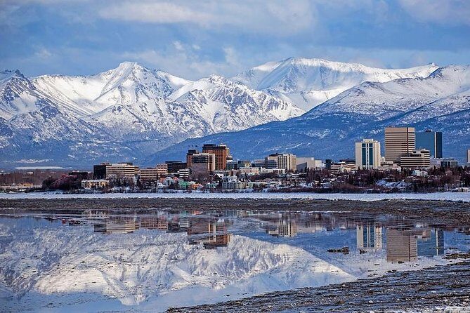 Port Homer Day Tour Wilderness, Wildlife and Beach Experience - What to Keep in Mind