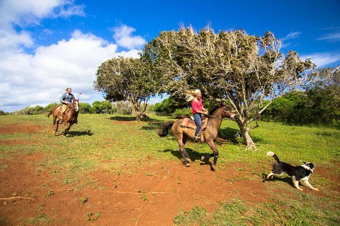 Private Advanced Trail Ride - What the Itinerary Looks Like