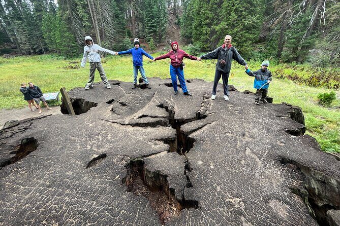 Private Day Tour to Sequoia and Kings Canyon Parks From LA - What Makes This Tour Special?