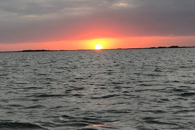 Private Dolphin Watch and Sunset Boat Tour Port Aransas Texas - What Travelers Say About Their Experience