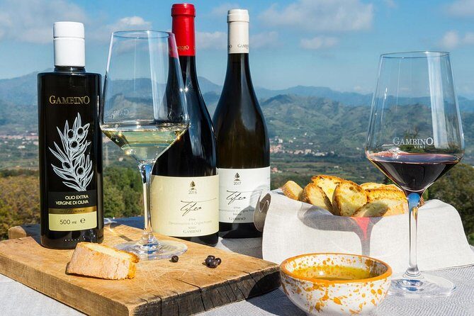Private Etna tour from Messina Cruise Terminal+ Lunch at Winery