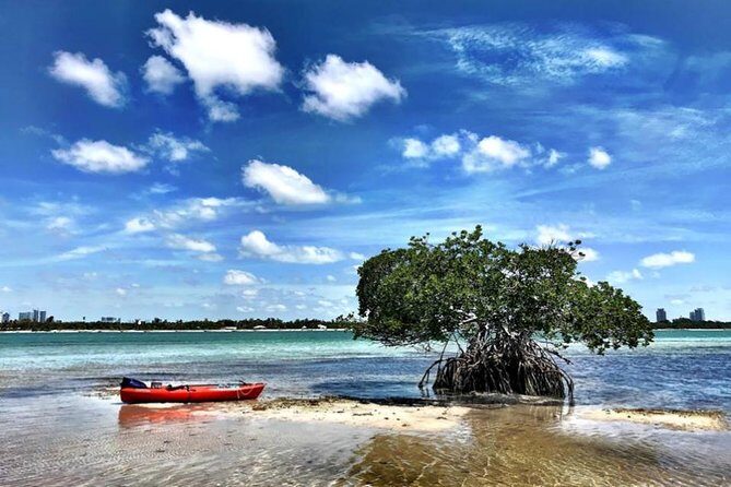 Private Guided Kayak or SUP Eco Adventure - Who Should Consider This Tour?