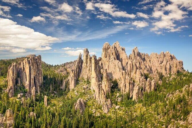 Private Half Day Mt Rushmore & Black Hills Tour - Who Should Choose This Tour?