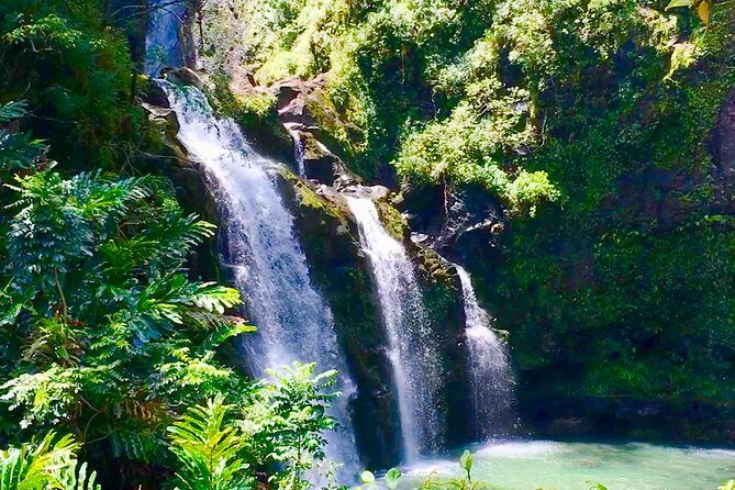Private Road to Hana Tour - Who Should Book This Tour?