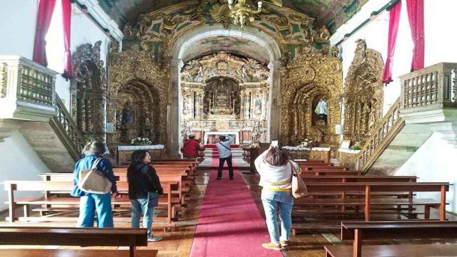 Private Tour to stunning Douro Valley and renowned wineries - Transportation and Comfort