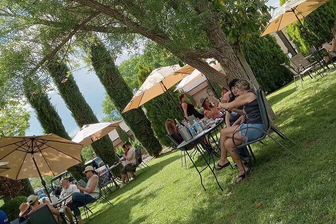 Private Wine Tour in Sedona, Arizona - Beyond the Vine: Experience Quality and Comfort