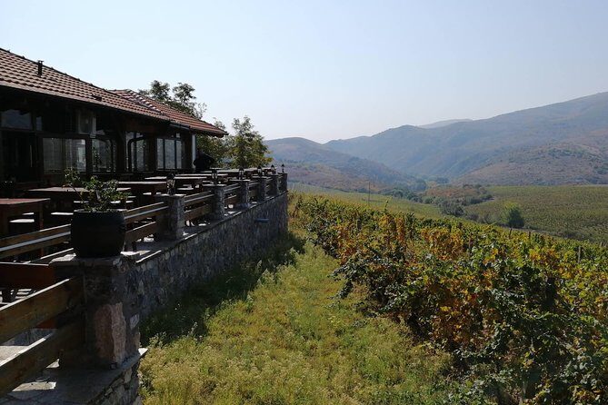 Private Wine Tour of Chateau Sopot Winery from Skopje