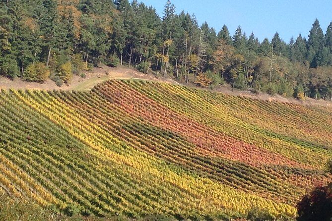 Private Wine Tour with Tastings from Eugene - The Complete Experience: What to Expect on the Tour