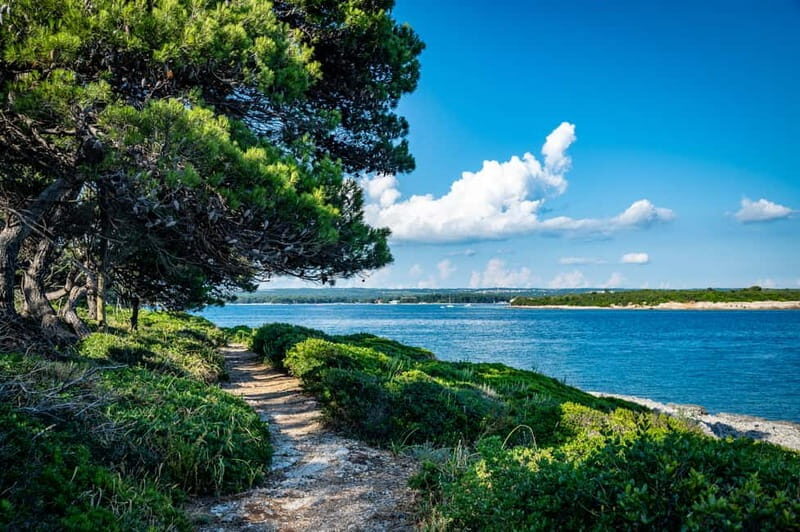 Pula: National Park Brijuni Cruise with Lunch and Drinks