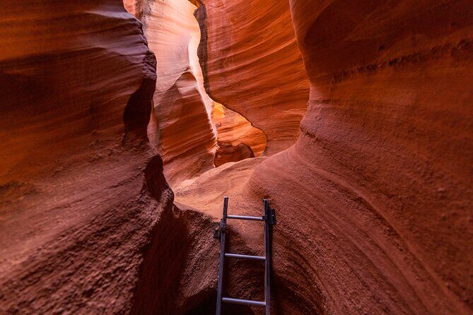 Rattlesnake Canyon Tour - The Value of the Tour: Is It Worth It?