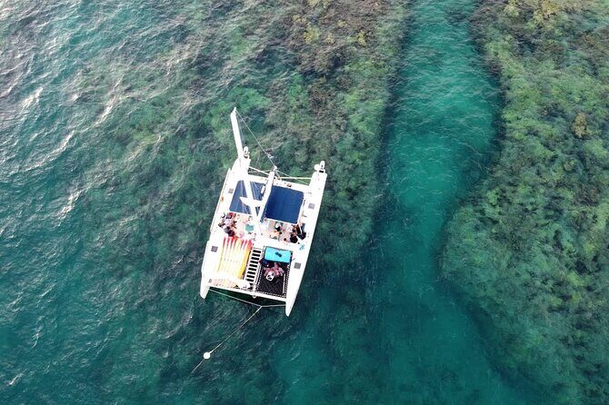 Reef Snorkel + Sandbar & Sunset Sail-Small Groups with Honest Eco - Who Should Consider This Tour?