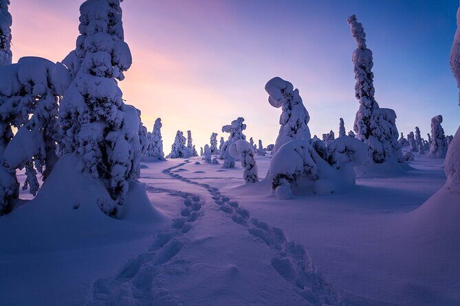 Riisitunturi wilderness adventure