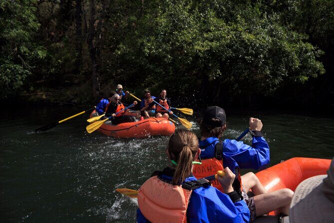 Rogue River Whitewater- All Day Rafting & Kayaking Adventure - The Itinerary: From Start to Splash