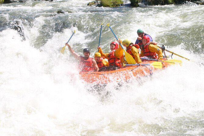 Rogue River Whitewater- Morning Rafting Adventure - An Overview of the Rogue River Whitewater Experience